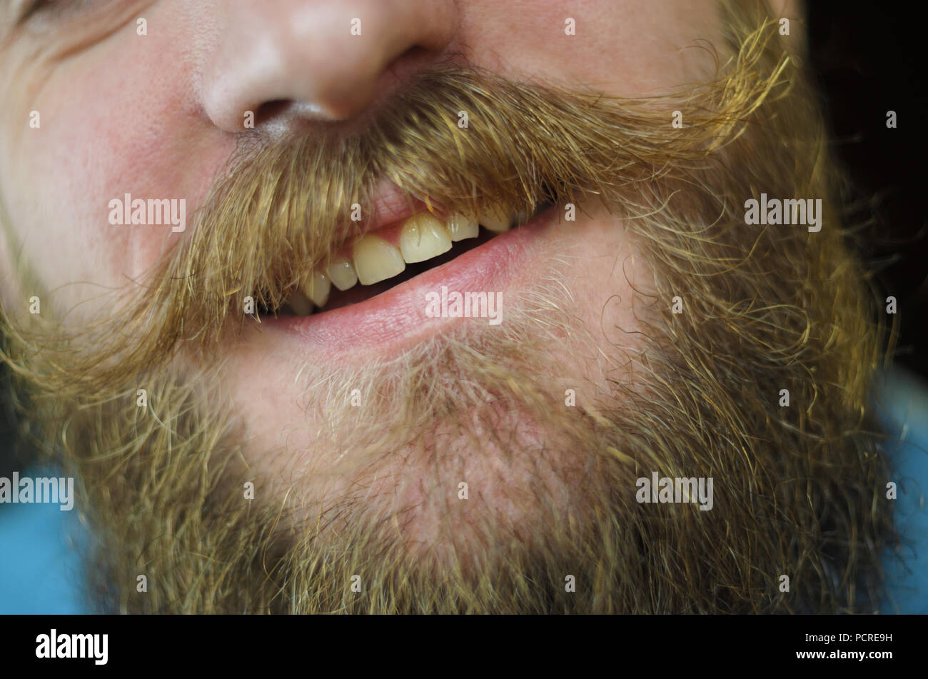 Smile with Mustache Close Up. Part of the Face of a Bearded Man Stock ...