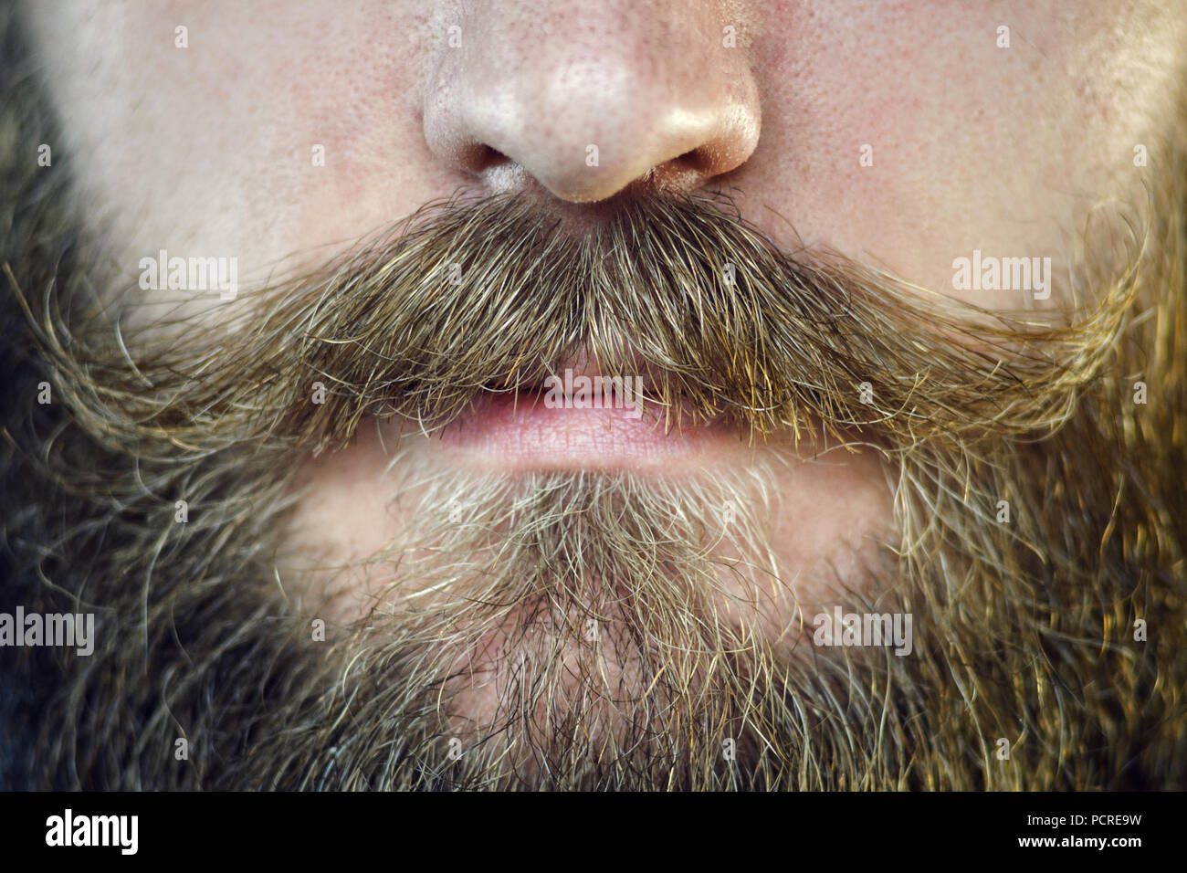 Mustache Close Up. Part of the Face of a Bearded Man Stock Photo - Alamy