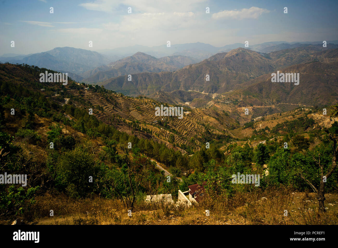 The vastness of the Kumaon Hills as seen from Kath-Ky-Nav village (Old ...