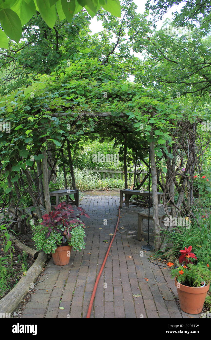 Brick paved path and overgrown garden pergola Stock Photo - Alamy