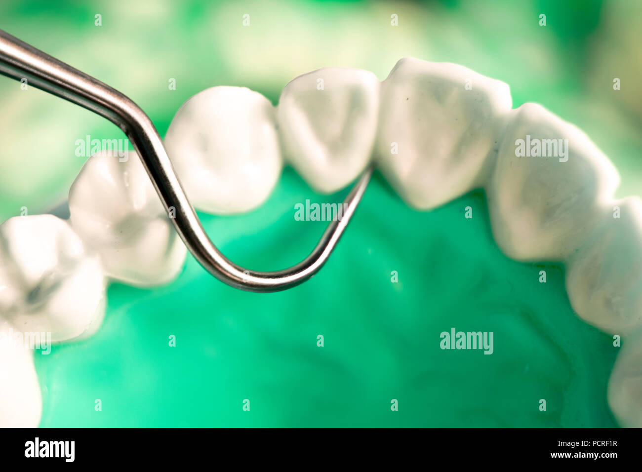 Dentist cleaning teeth with titanium metal tooth pick instrument to ...