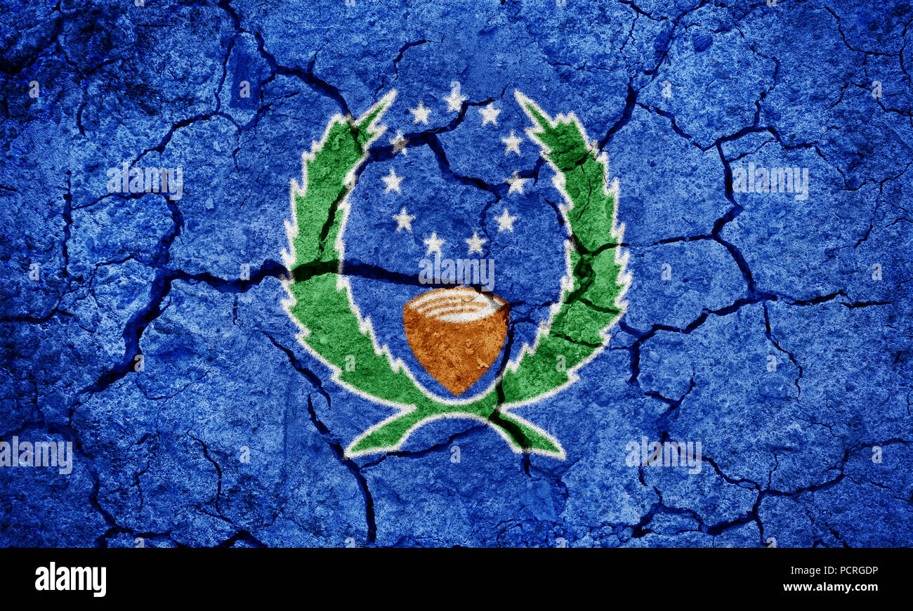 Pohnpei State, state of the Micronesia, flag on dry earth ground ...