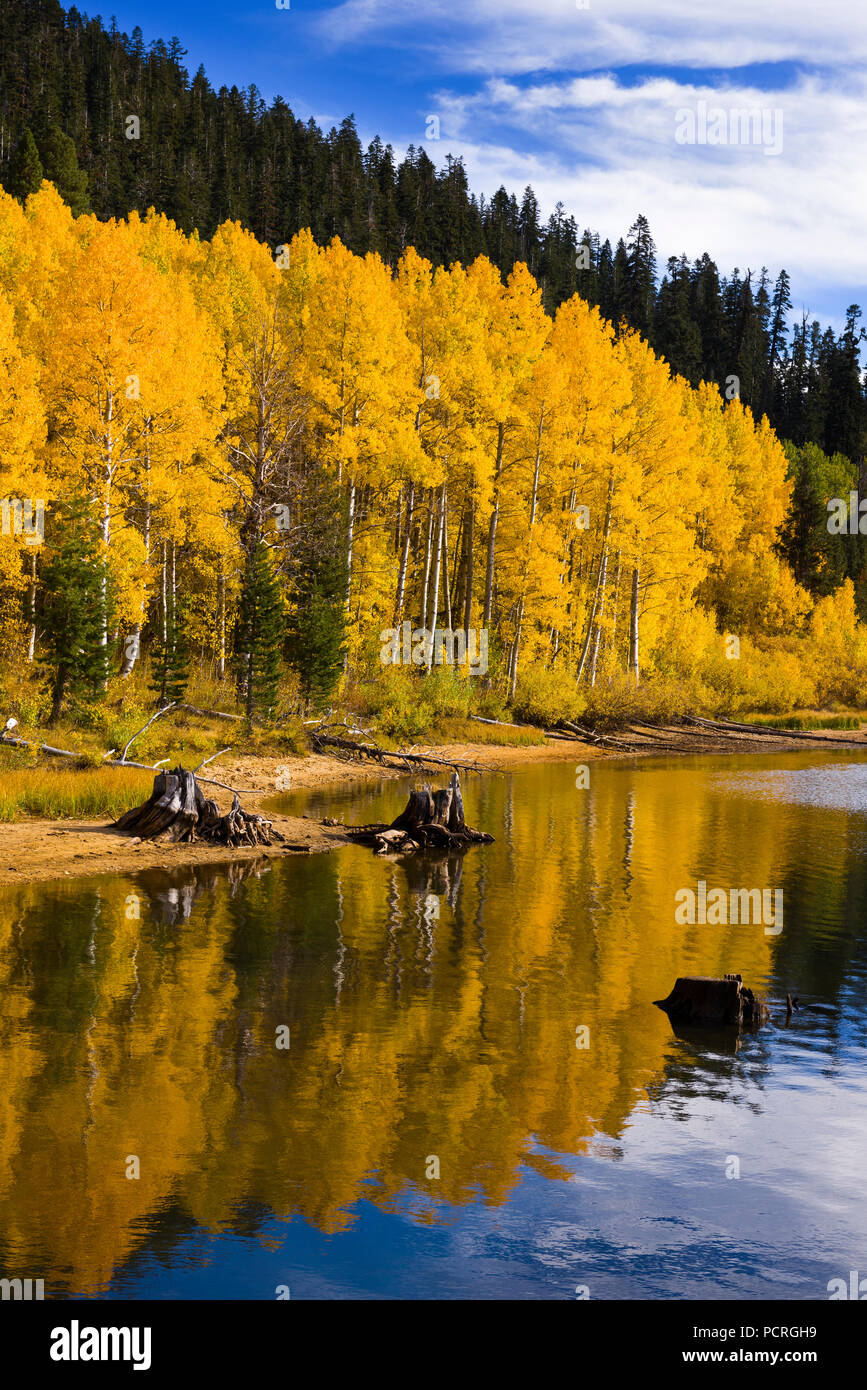Marlette Lake fall colors and aspen changing along North Canyon road at ...