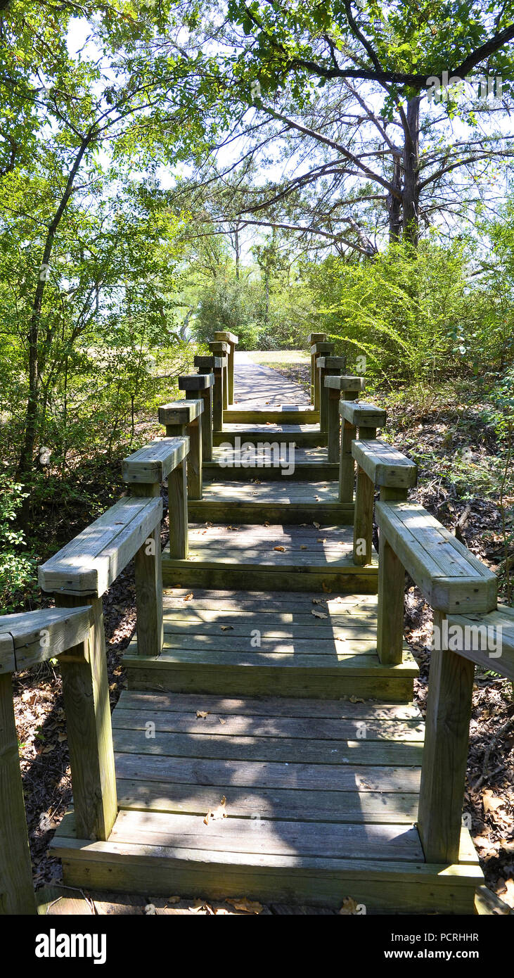 Stairs Collage Nature Path 318+ Thousand Nature Stairs Royalty Free