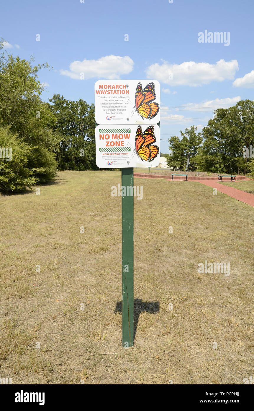 Monarch Waystation and no mow zone providing milkweed nectar in its ...