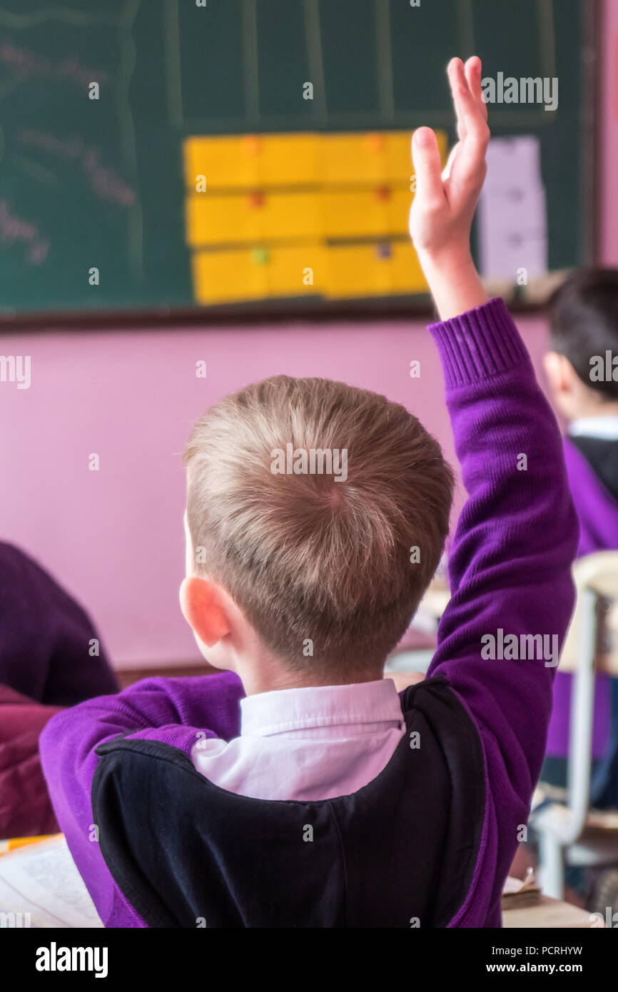 school children are participating actively in class. Education Stock ...