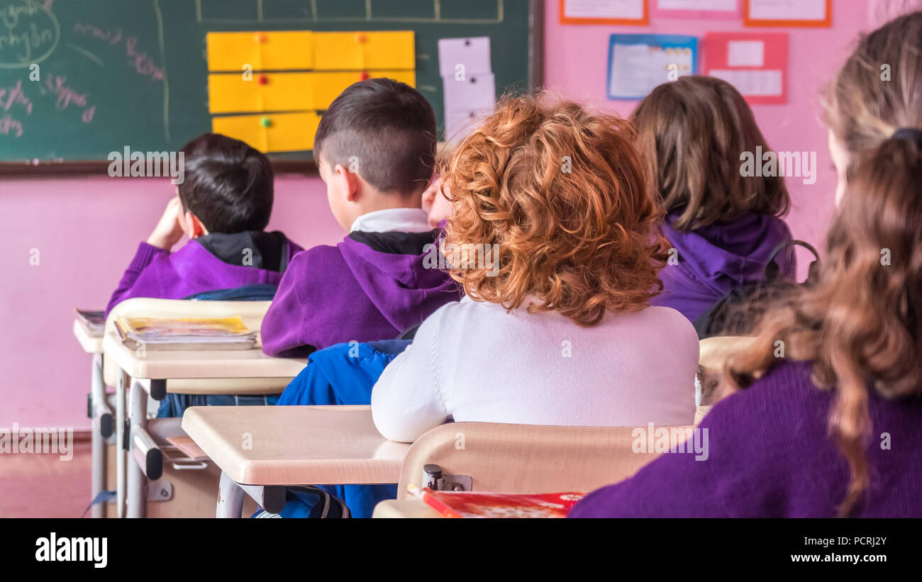 school children are participating actively in class. Education Stock ...