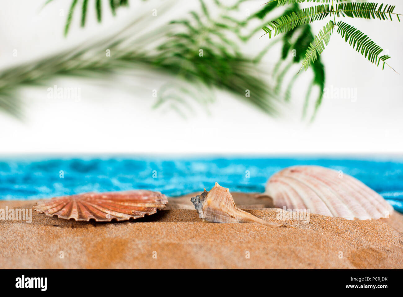 Holiday vacation tropical sand beach on the sea shore ocean exotic destination with palm trees ...