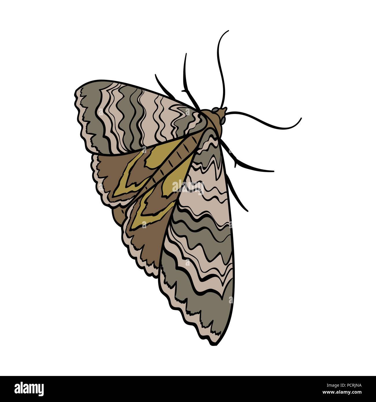 Moth, night butterfly. Insect pest moth single icon in cartoon style ...