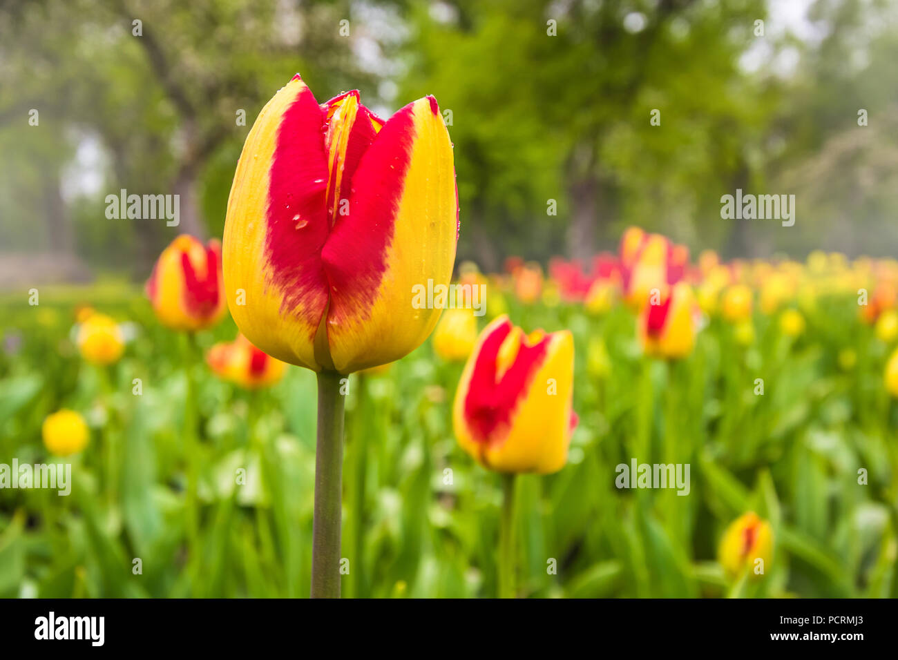 Non man made hi-res stock photography and images - Alamy