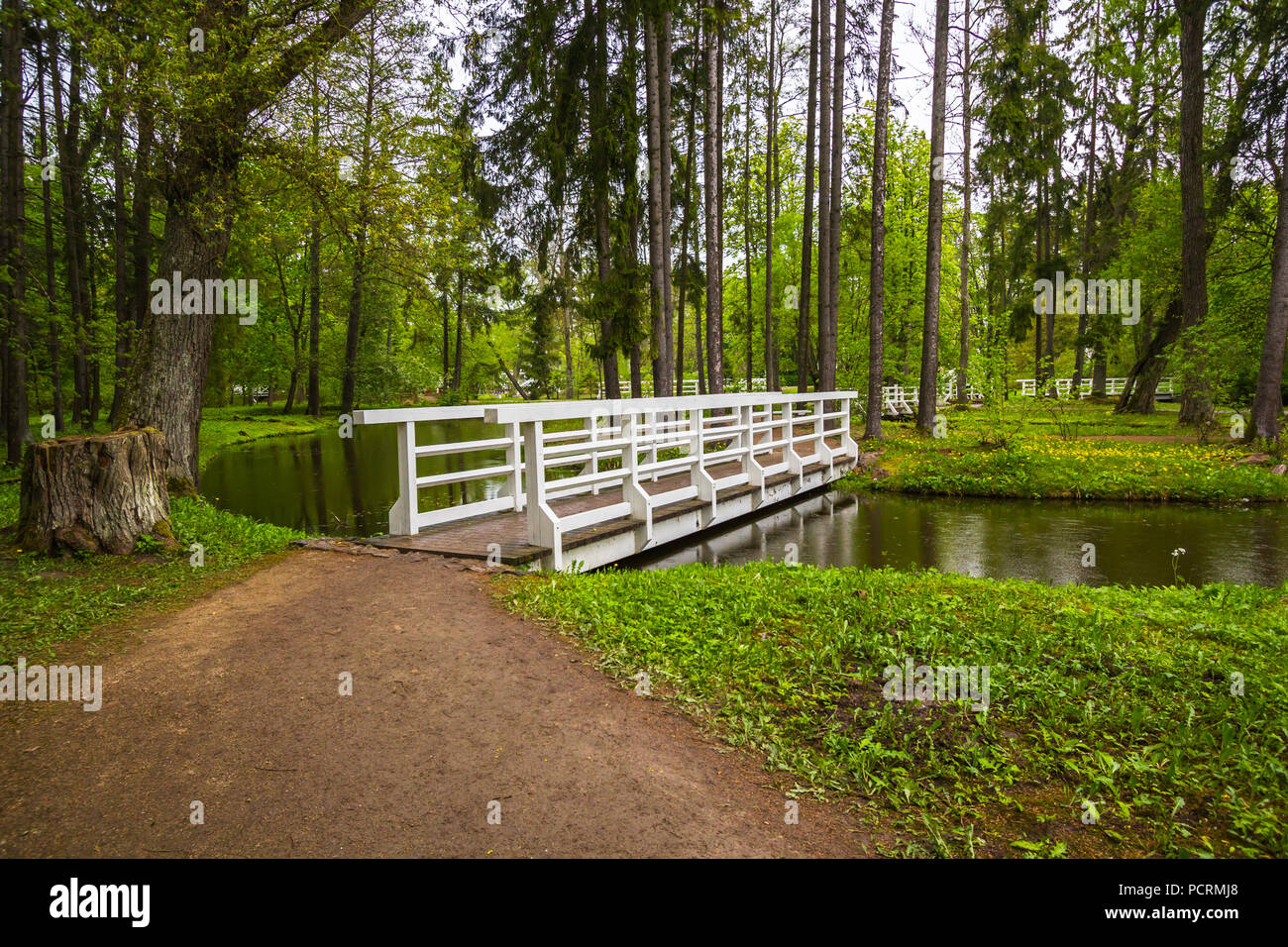 Bridge in the forest Stock Photo - Alamy