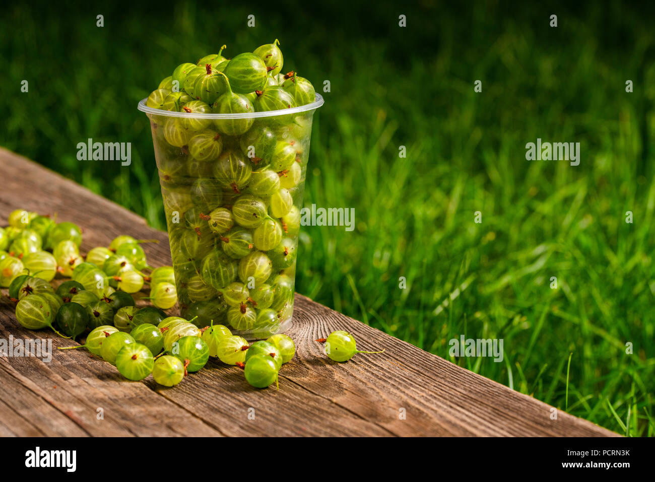 fresh gooseberry in plastic containers on the table Stock Photo - Alamy