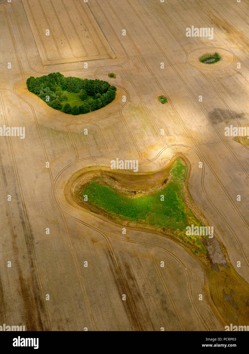 Aerial view, field with forest spots, field, moraine landscape ...