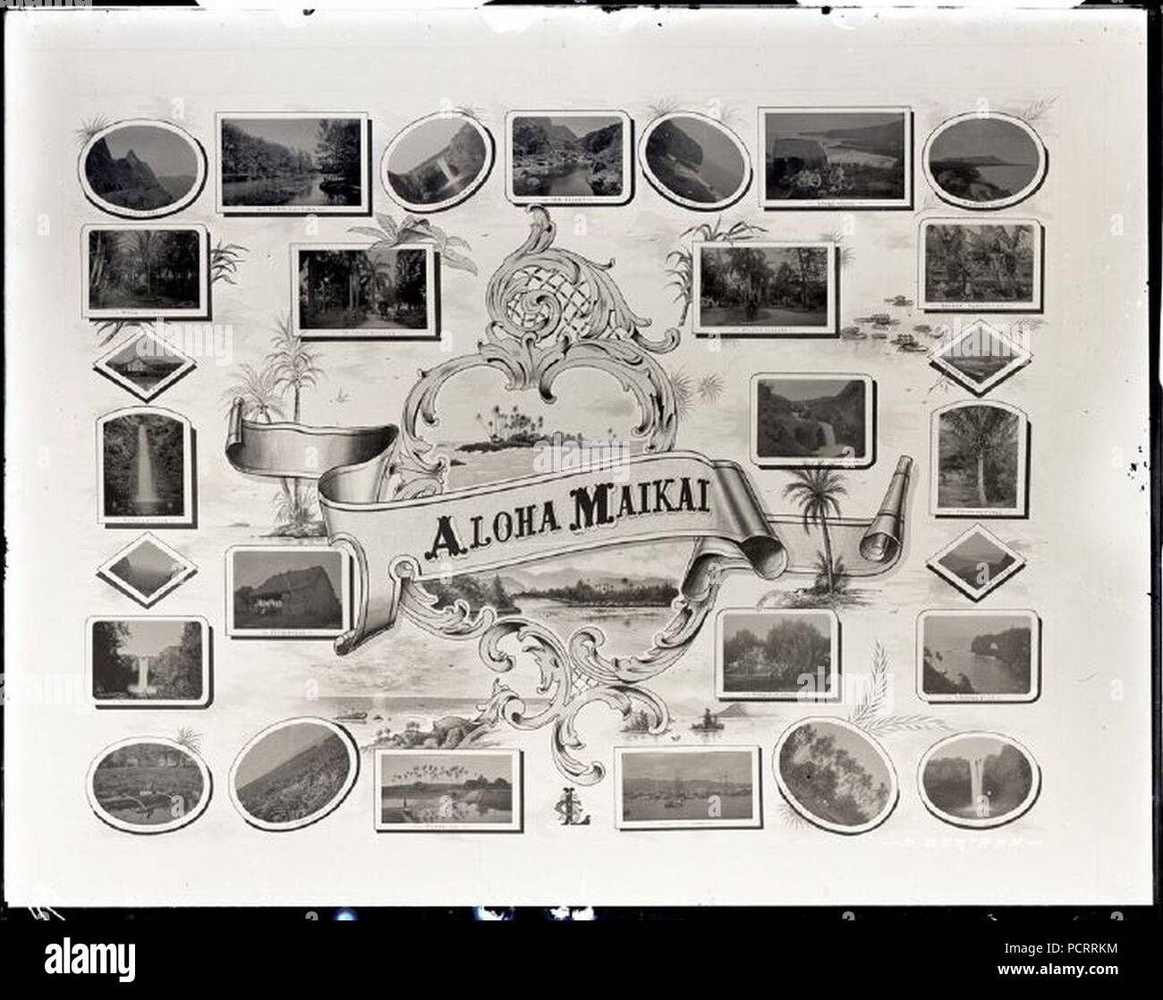 Aloha college hi-res stock photography and images - Alamy