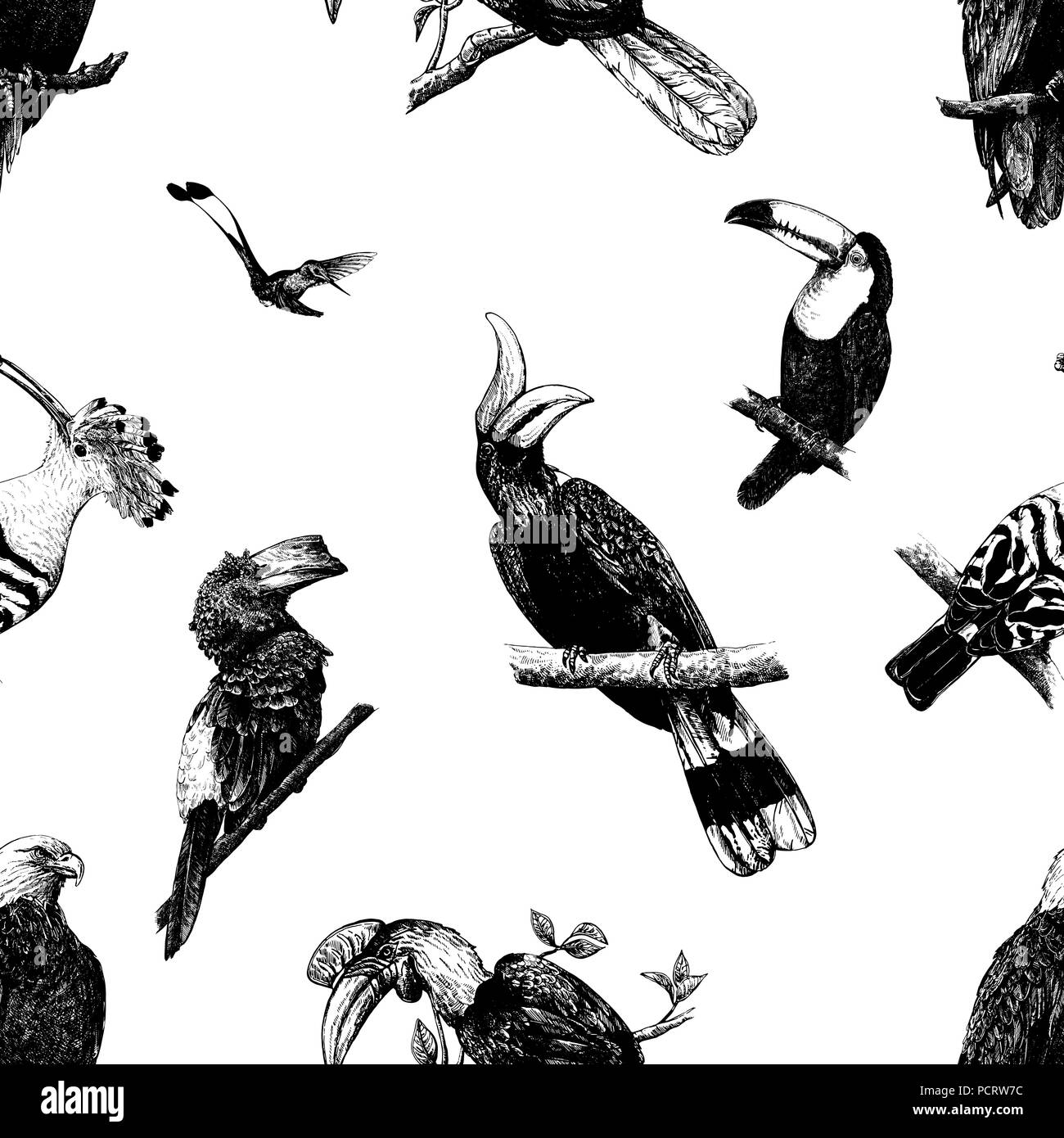 Seamless pattern of hand drawn sketch style exotic birds isolated on ...
