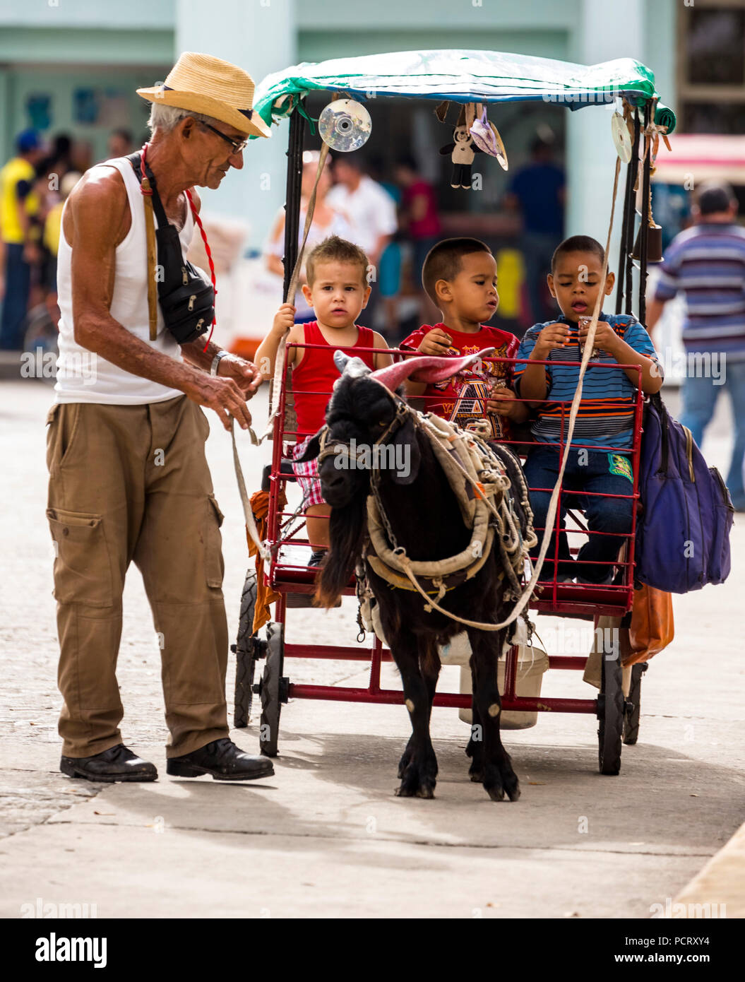 A goat pulled childrens carriage hi-res stock photography and images ...