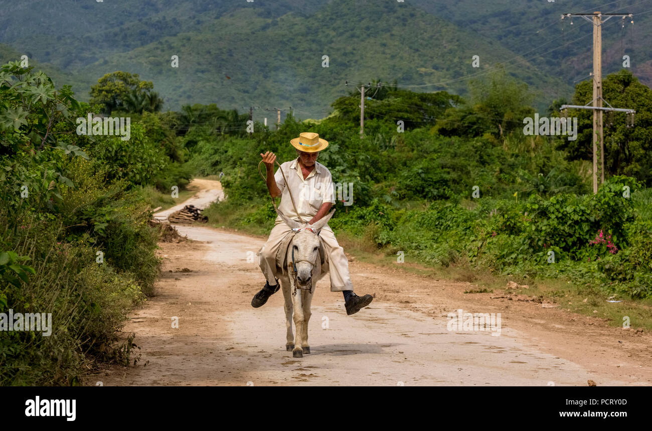 old Cuban farmer on a donkey mule with hat in the Valle de los Ingenios ...