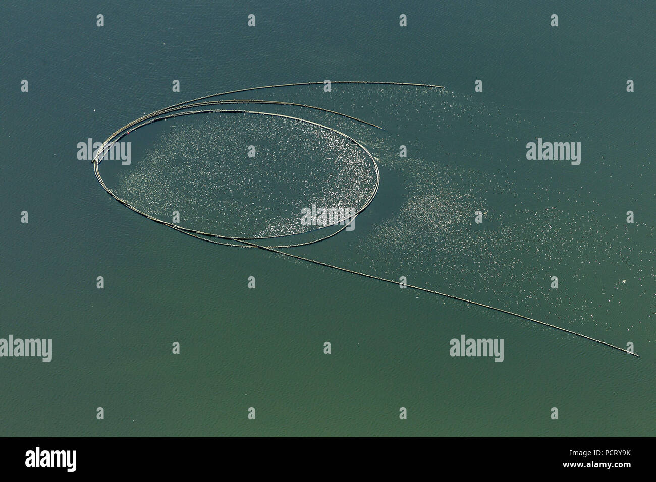 Aerial photo, fish breeding station, Lake Dümmer, North German Plain ...