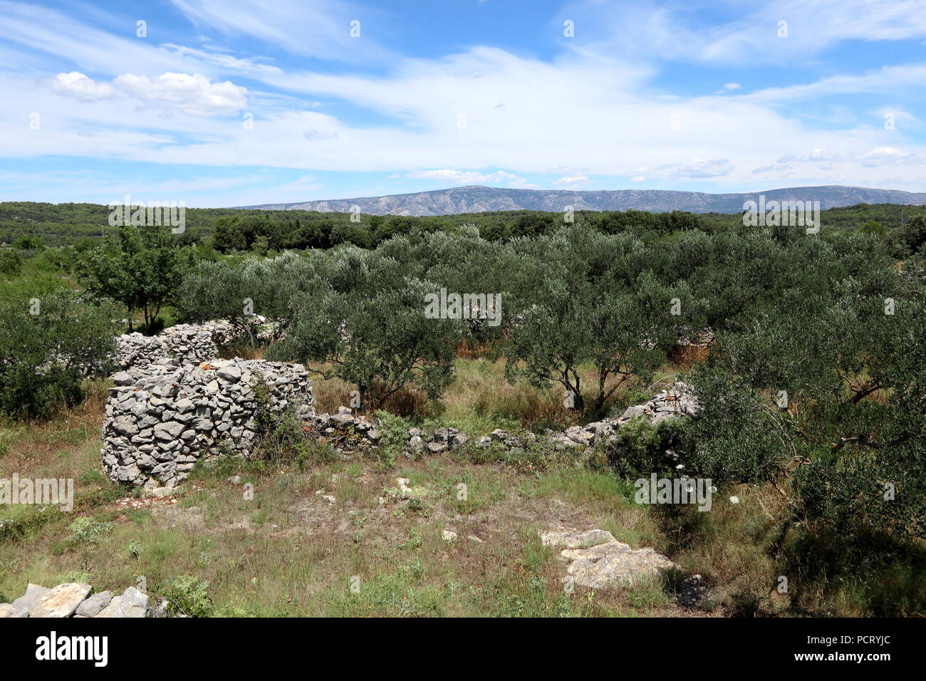 Stari grad plain hi-res stock photography and images - Alamy