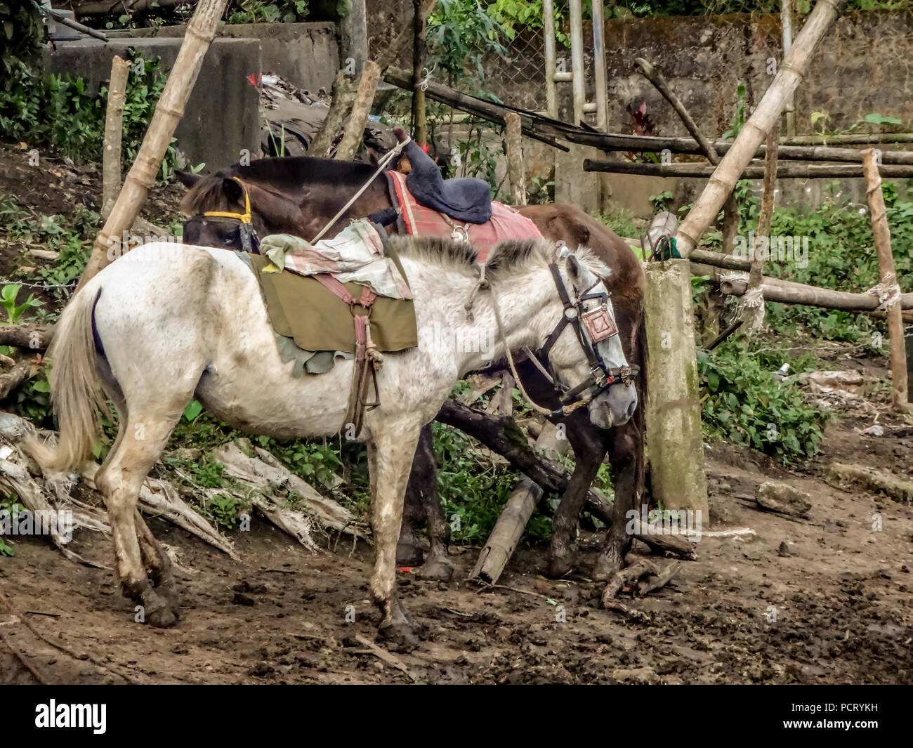 Tagaytay city hi-res stock photography and images - Alamy