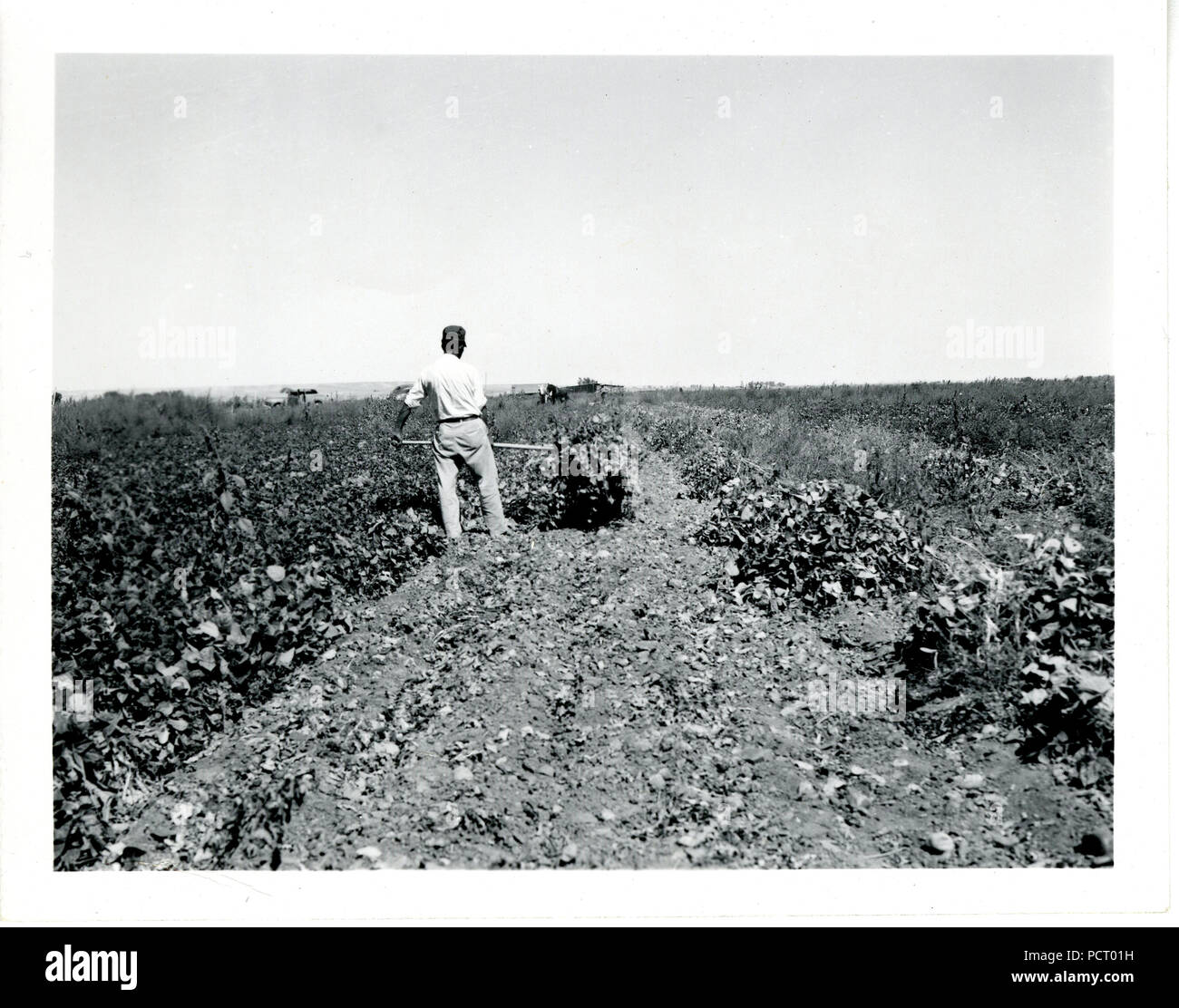 Working man 1950 hi-res stock photography and images - Alamy