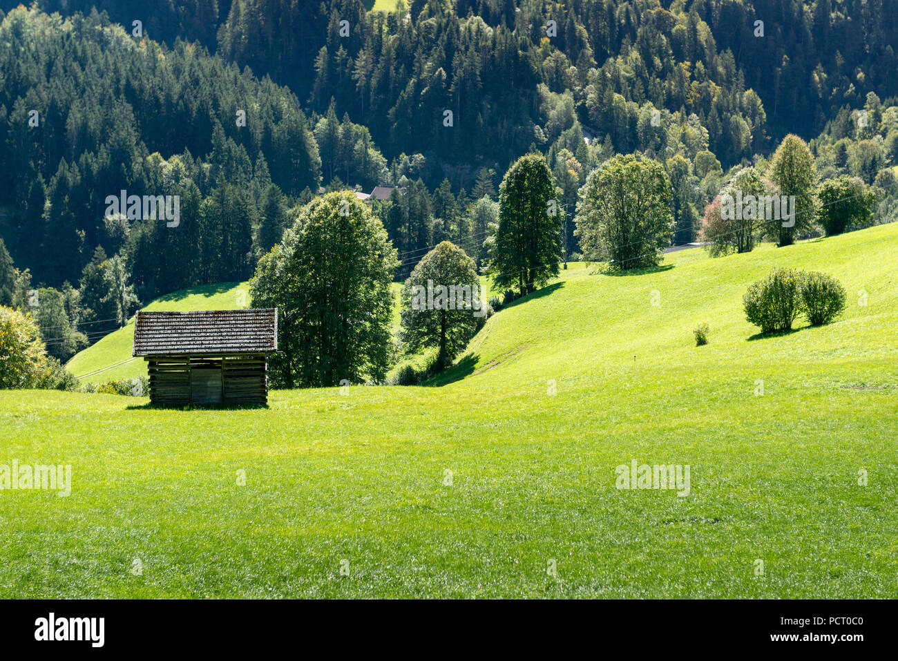 Almwiese hi-res stock photography and images - Alamy