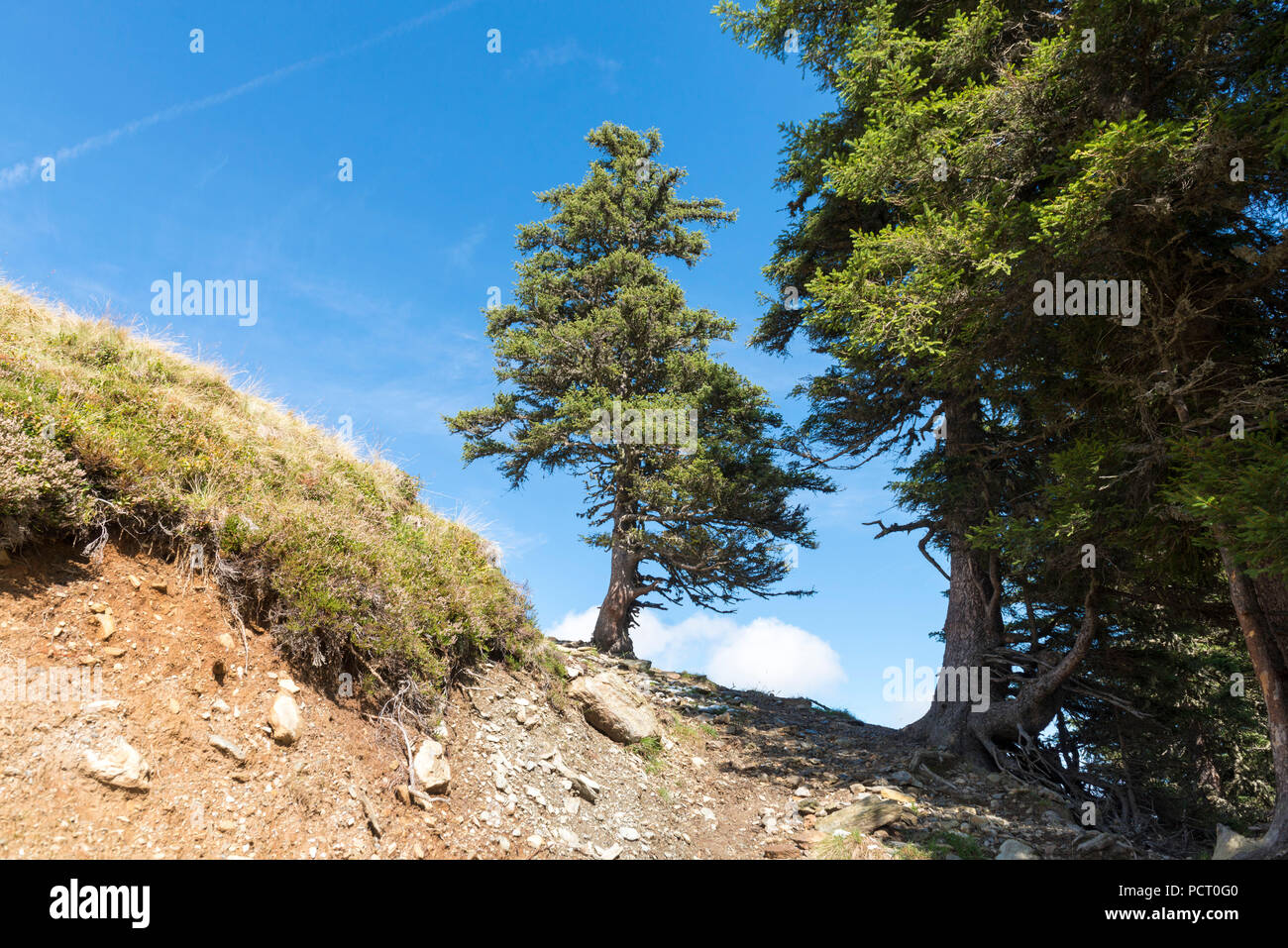 1600m hi-res stock photography and images - Alamy