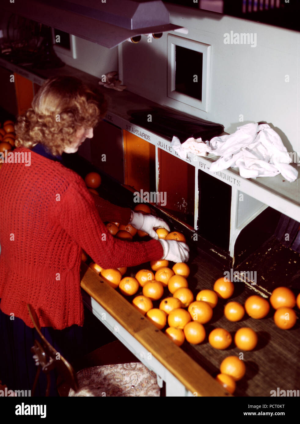 Fruit grading hi-res stock photography and images - Alamy