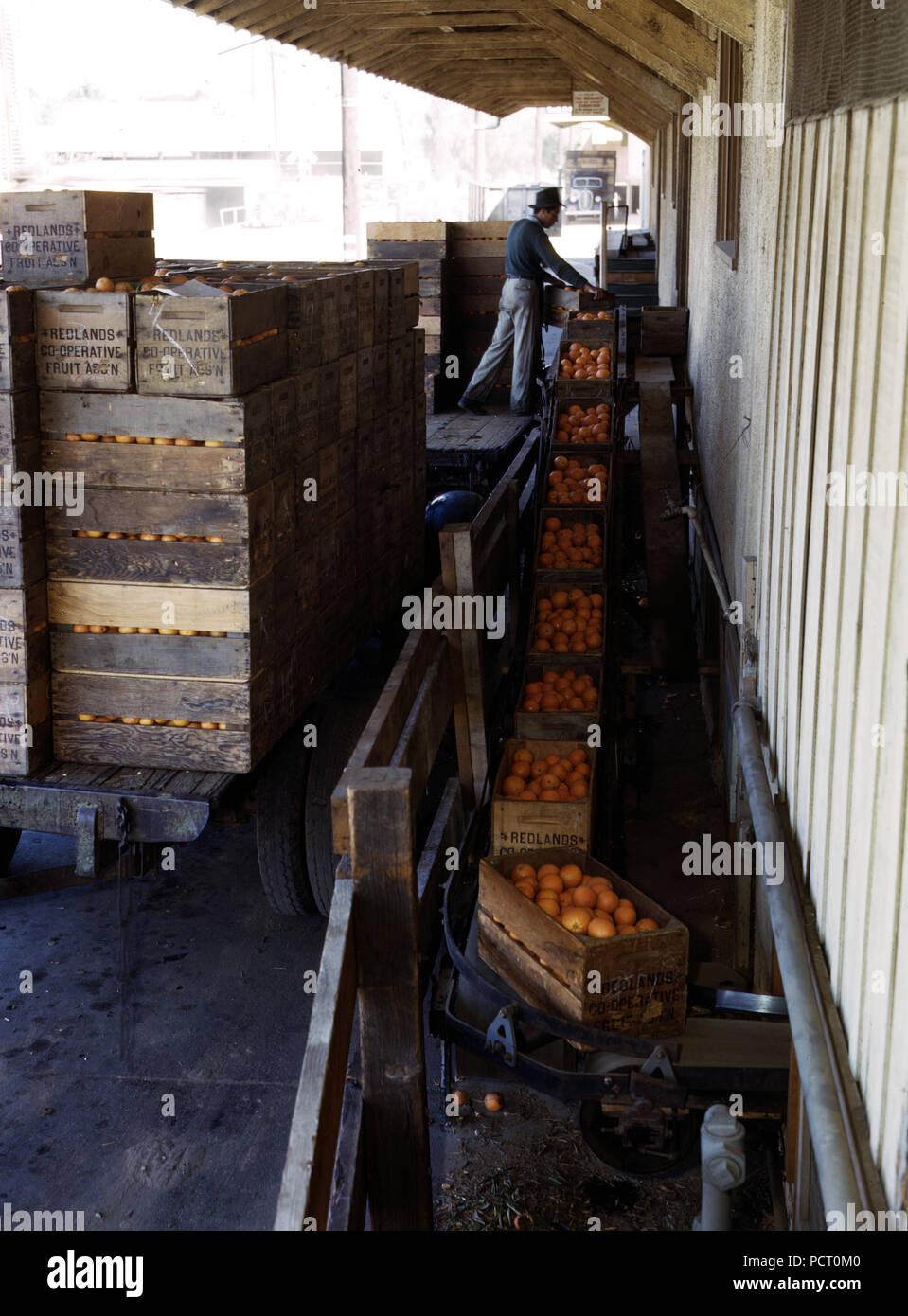 1940s orange packing plant hi-res stock photography and images - Alamy