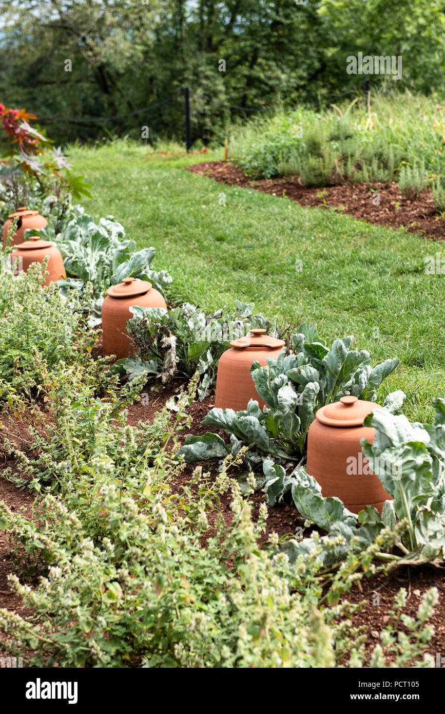 Protect plants from the elements hi-res stock photography and images ...