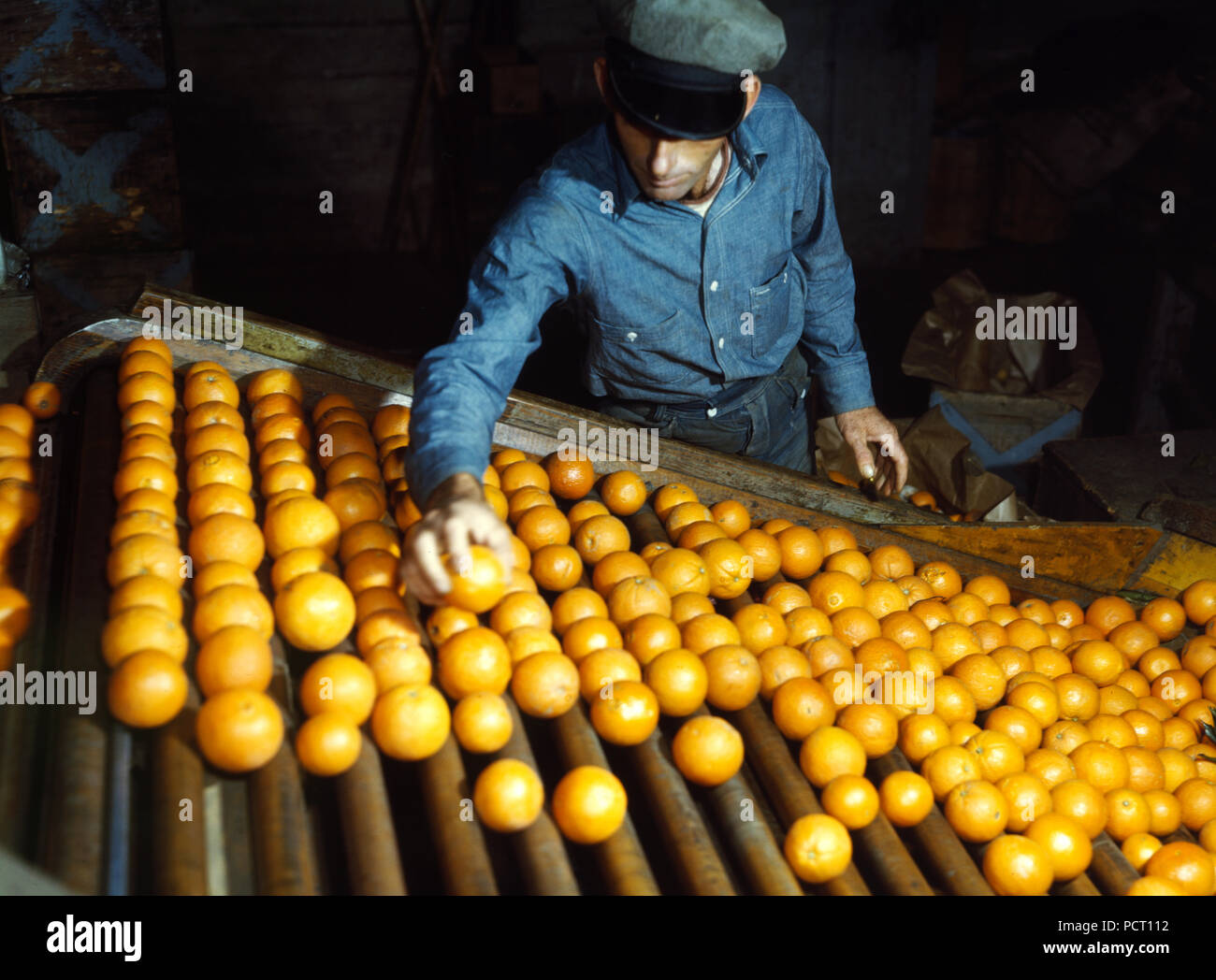 1940s orange packing plant hi-res stock photography and images - Alamy