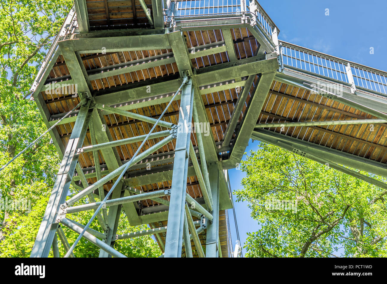 Treetop path through the mixed forest at the northern edge of the Harz ...