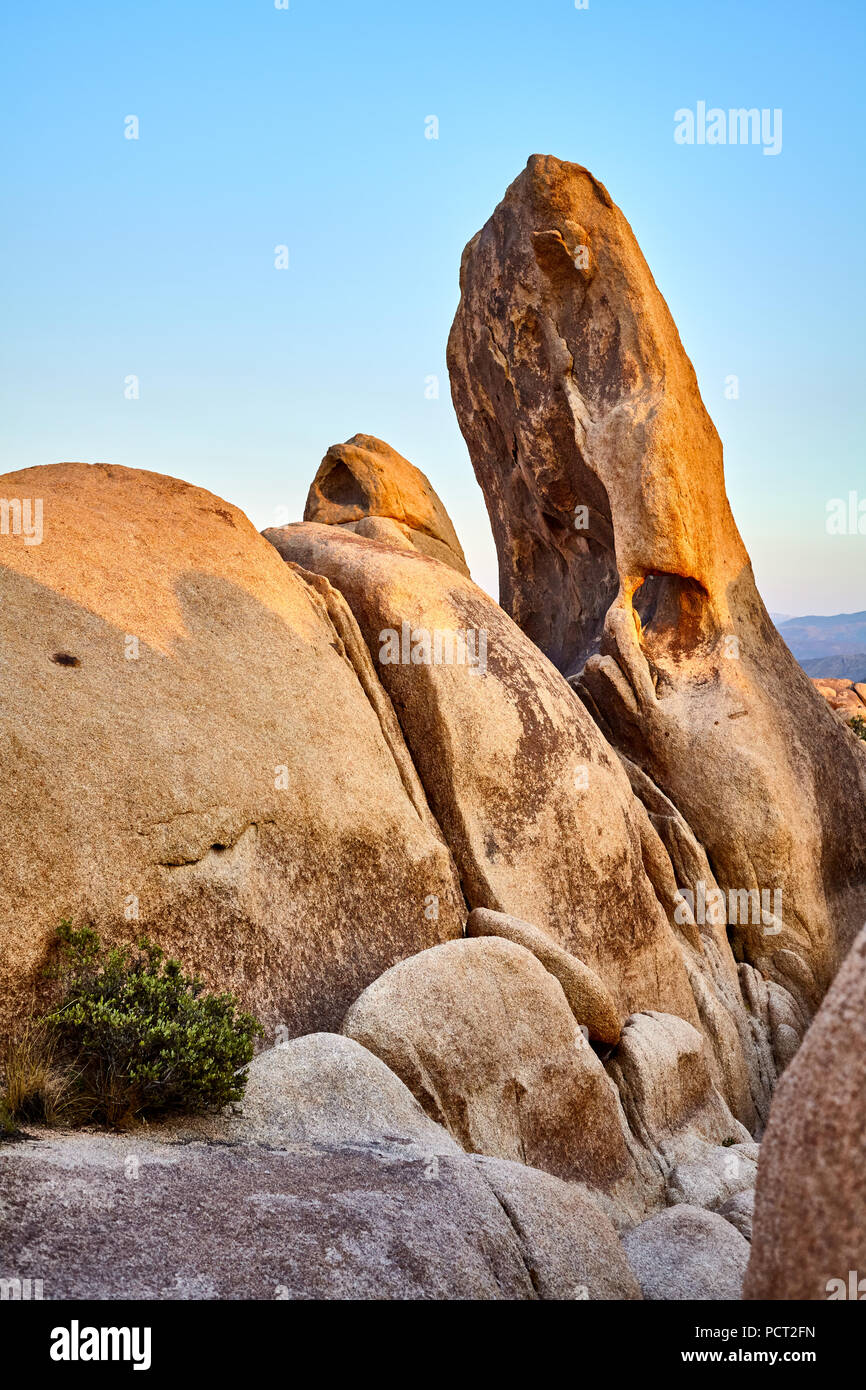 Rock tree and sunset hi-res stock photography and images - Alamy