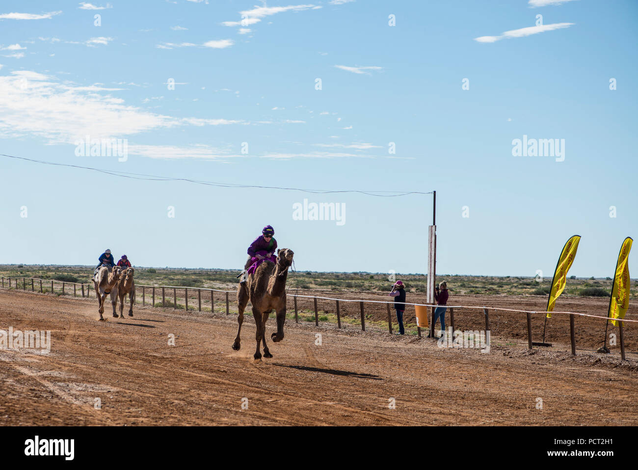 Camel races, Marree, Outback Australia Stock Photo - Alamy