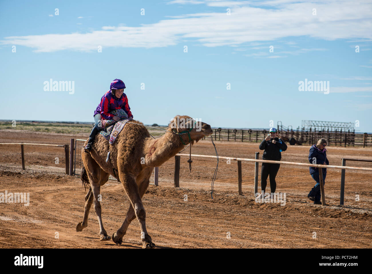 Camel races, Marree, Outback Australia Stock Photo - Alamy
