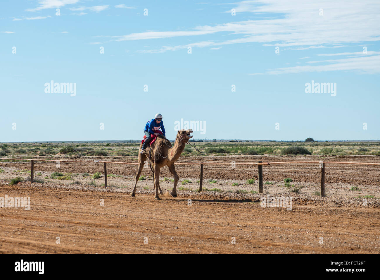 Camel races, Marree, Outback Australia Stock Photo - Alamy