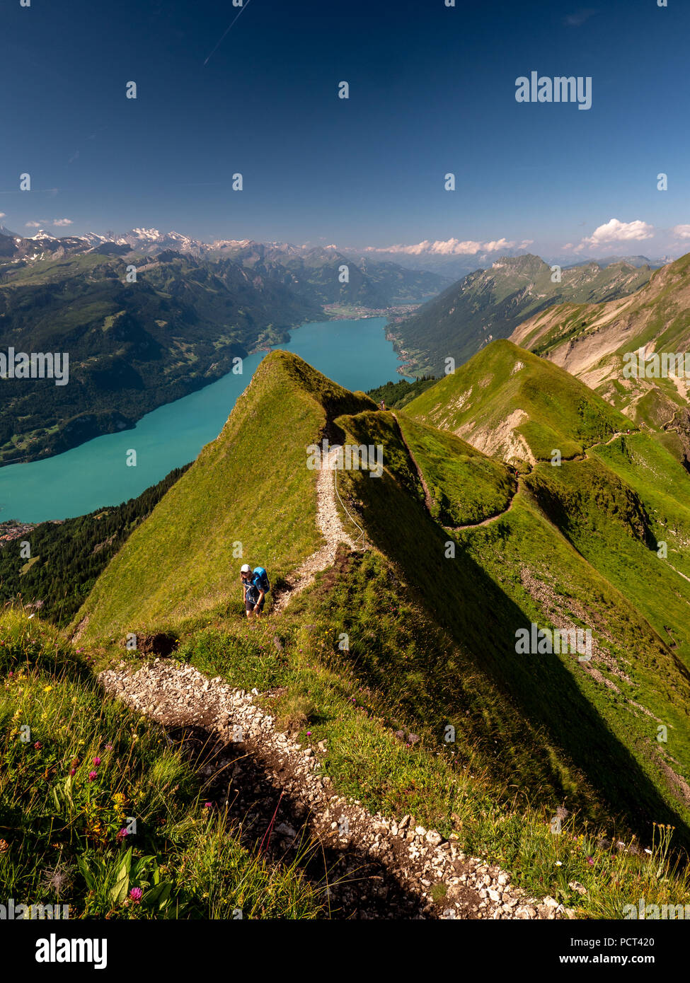 mountain hiking path scary ridge walk during sunny summer day swiss ...