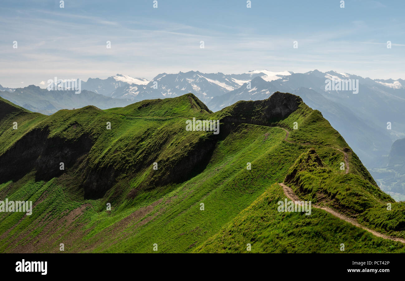 beautiful hiking path along a mountain during sunny summer day, ridge ...