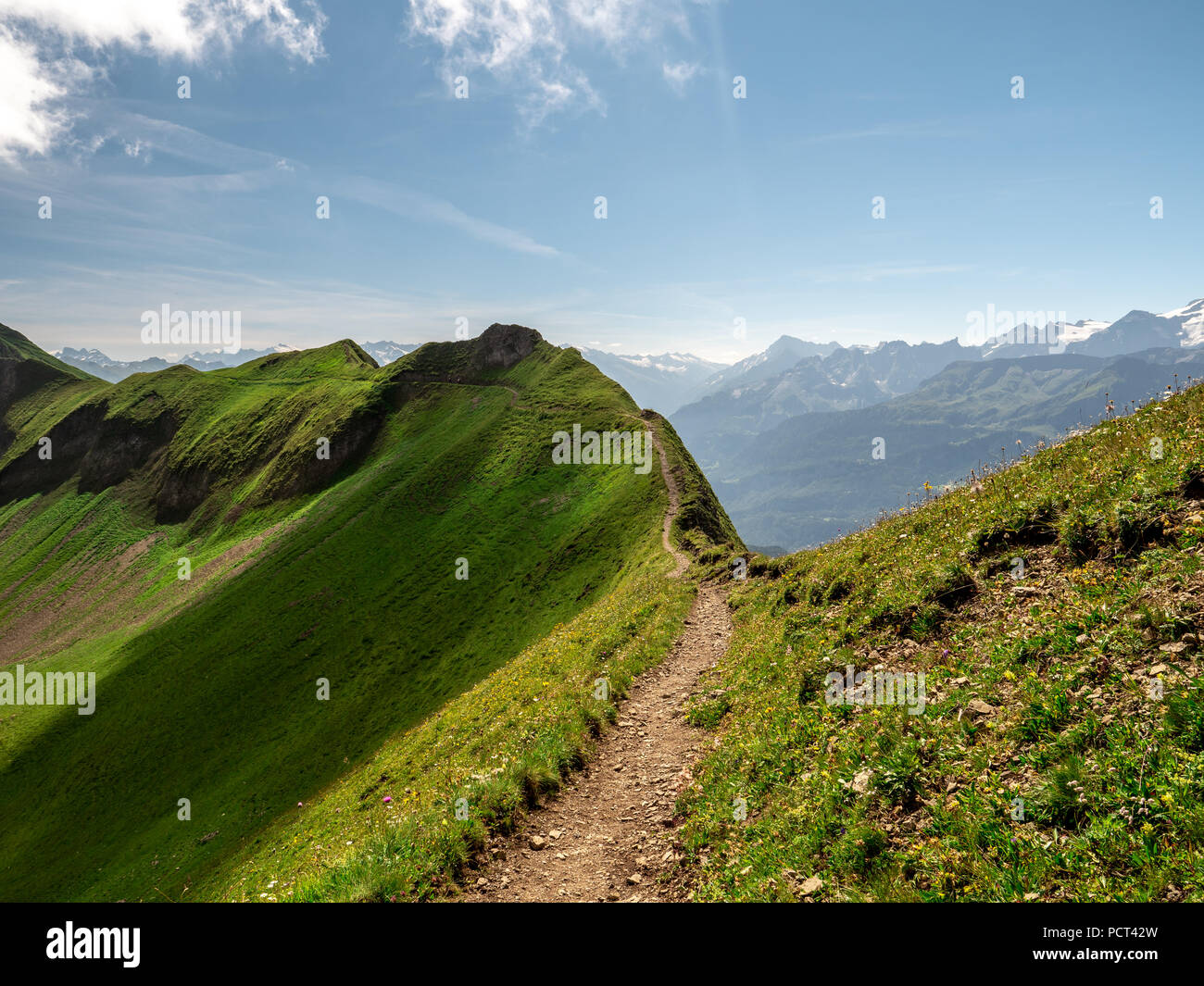 beautiful hiking path along a mountain during sunny summer day, ridge ...