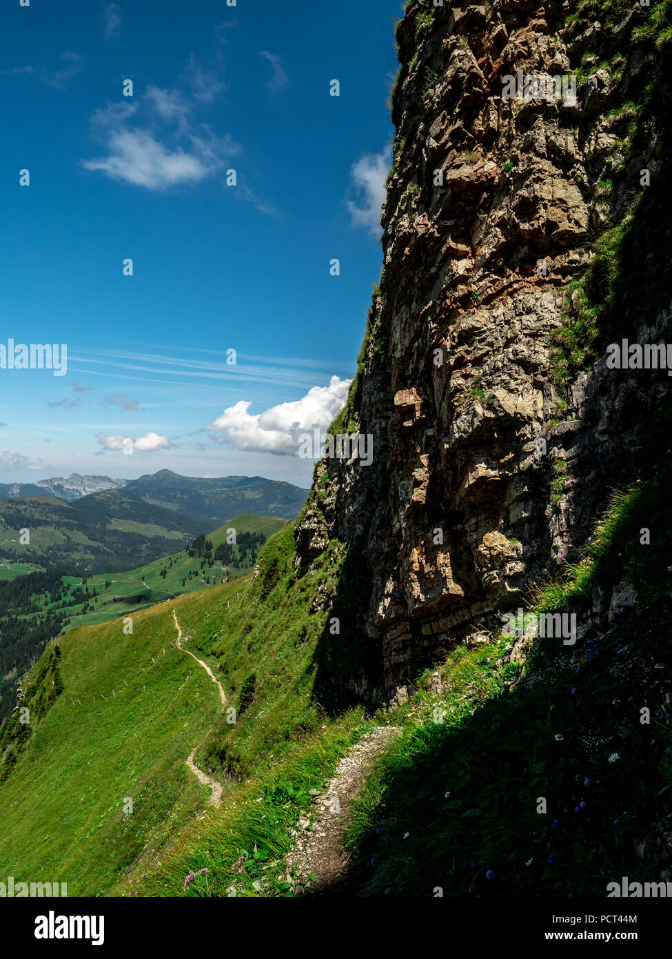 beautiful hiking path in the swiss alps Stock Photo - Alamy