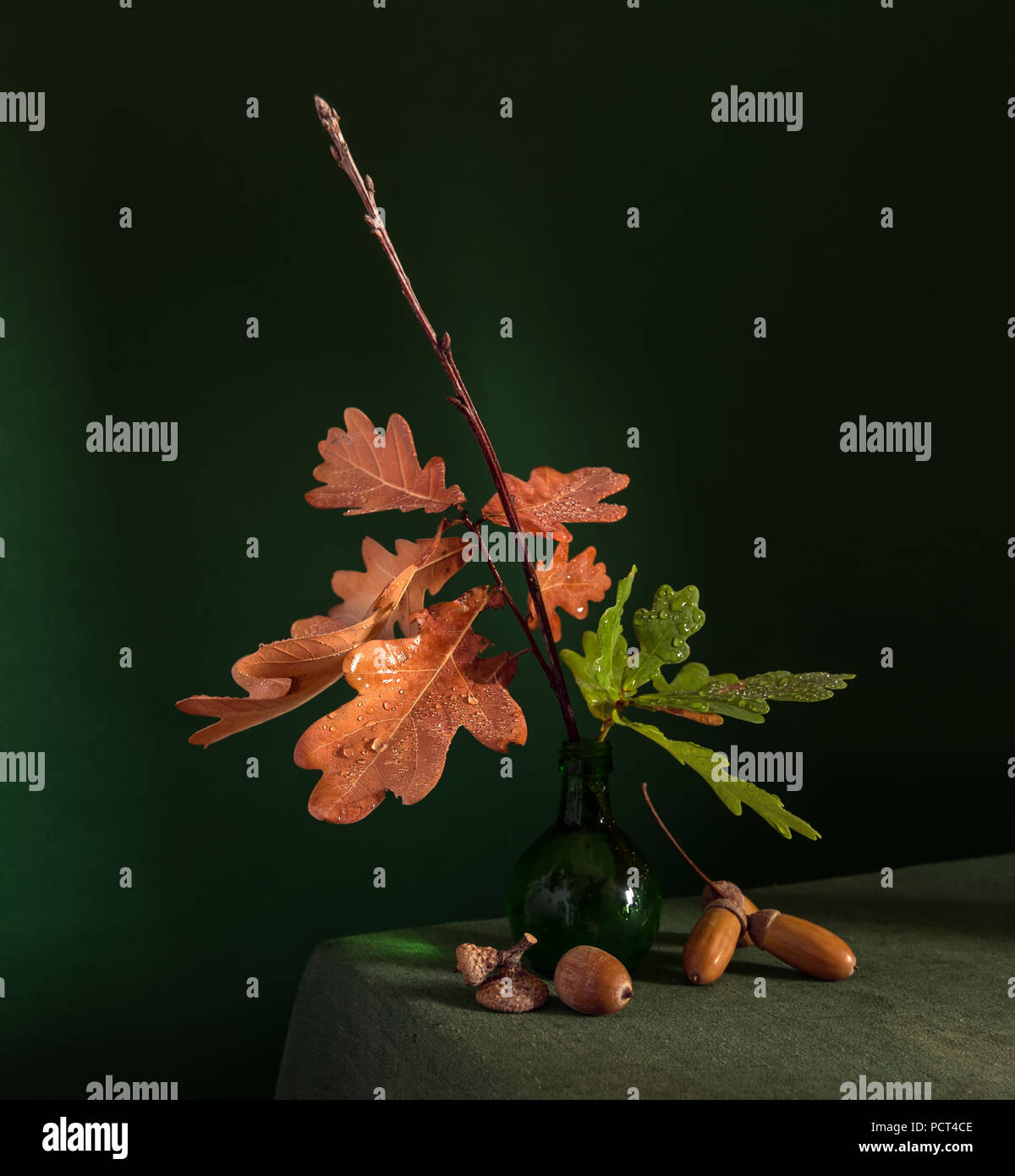 Still life with an oak branch and acorns. Vintage. Minimalism Stock ...