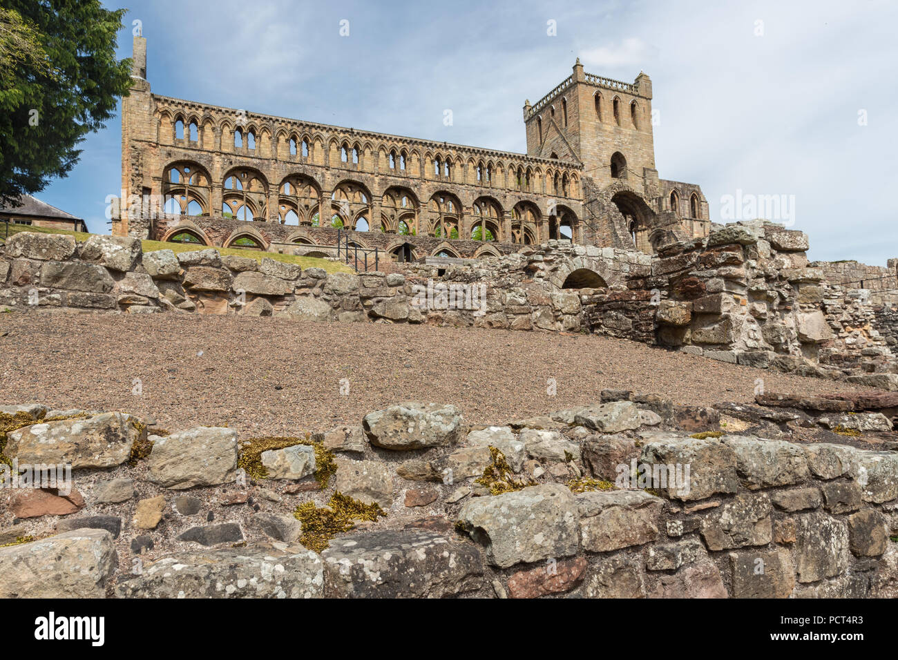 View at ruins of Jedburgh abbey in Scottish borders Stock Photo - Alamy