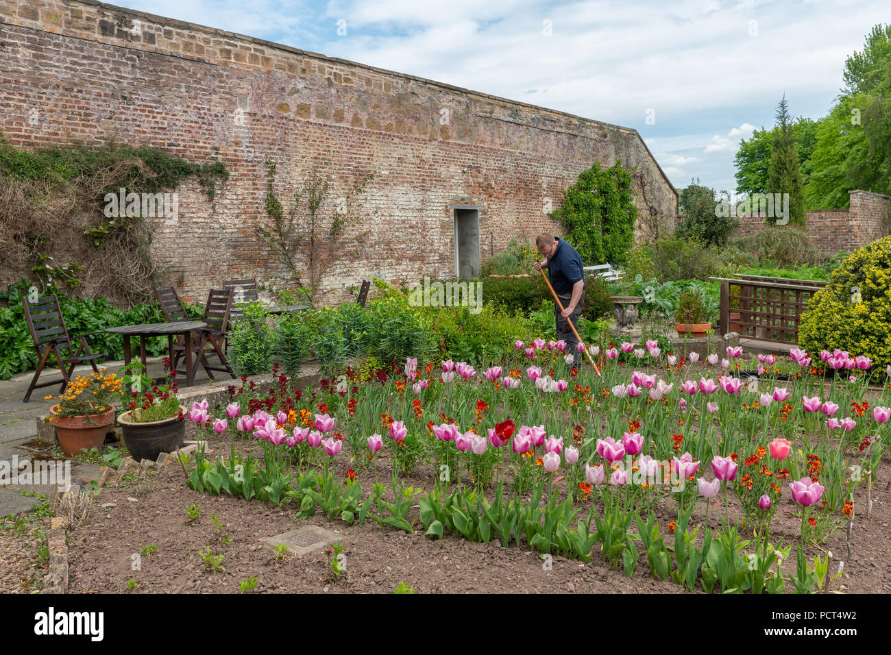 English courtyard hi-res stock photography and images - Alamy