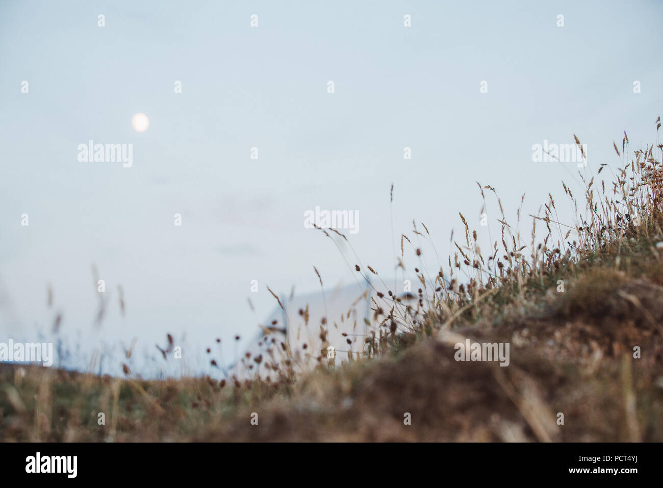 Grass on cliff edge hi-res stock photography and images - Alamy