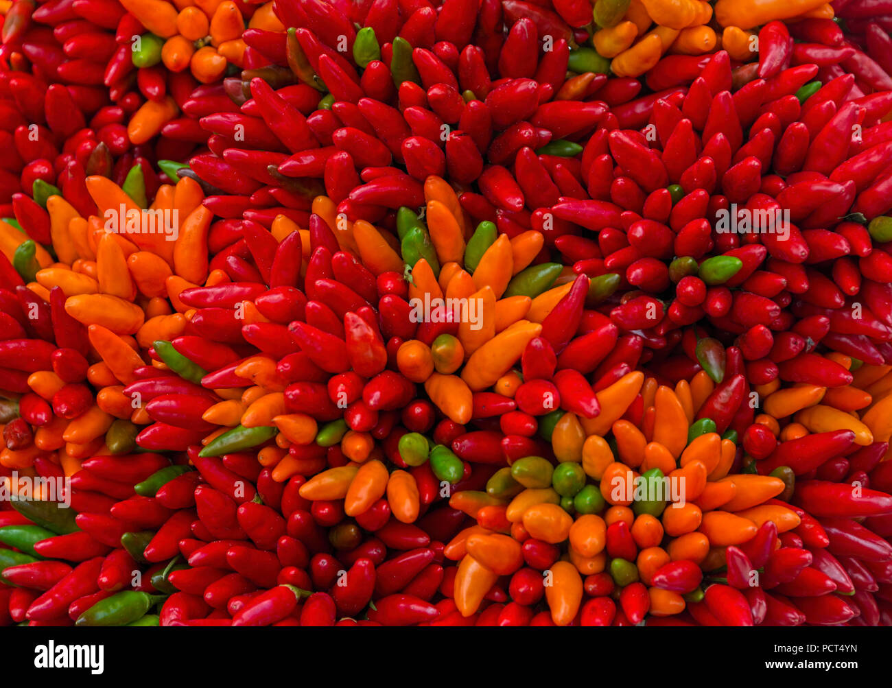 Arrangement of colourful sweet peppers hi-res stock photography and ...