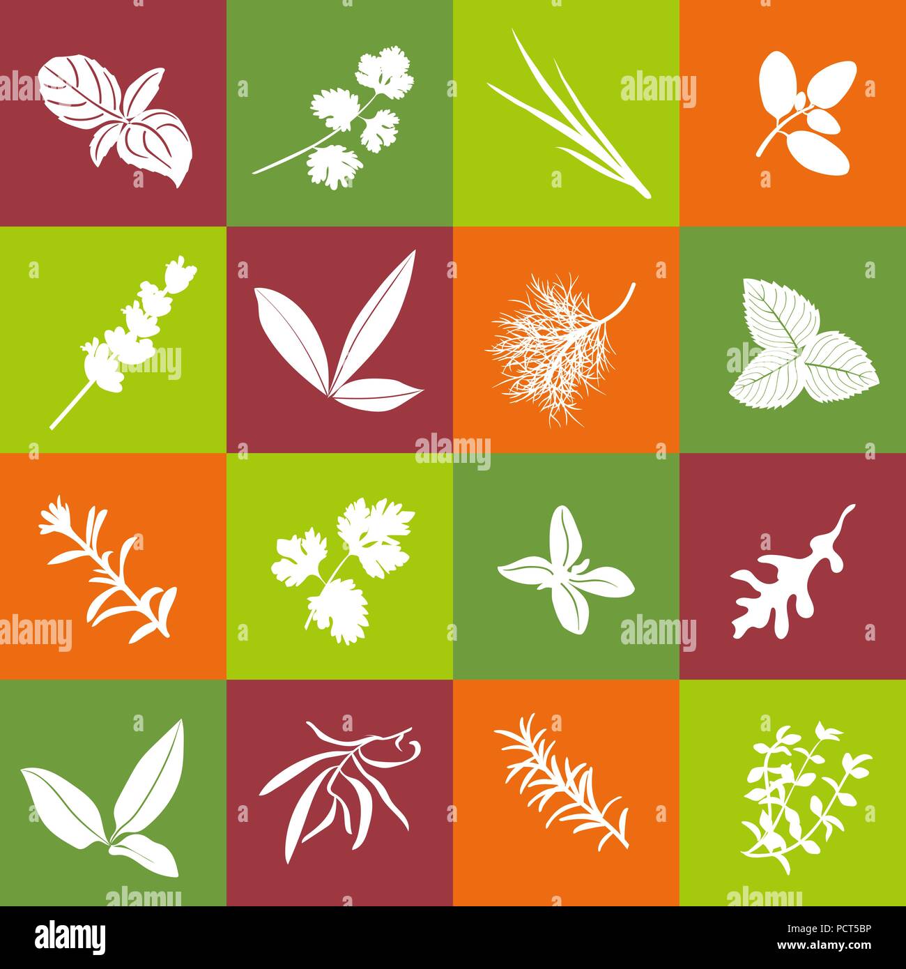 Herbal vector seamless pattern. Repeating culinary herbs. For logo ...
