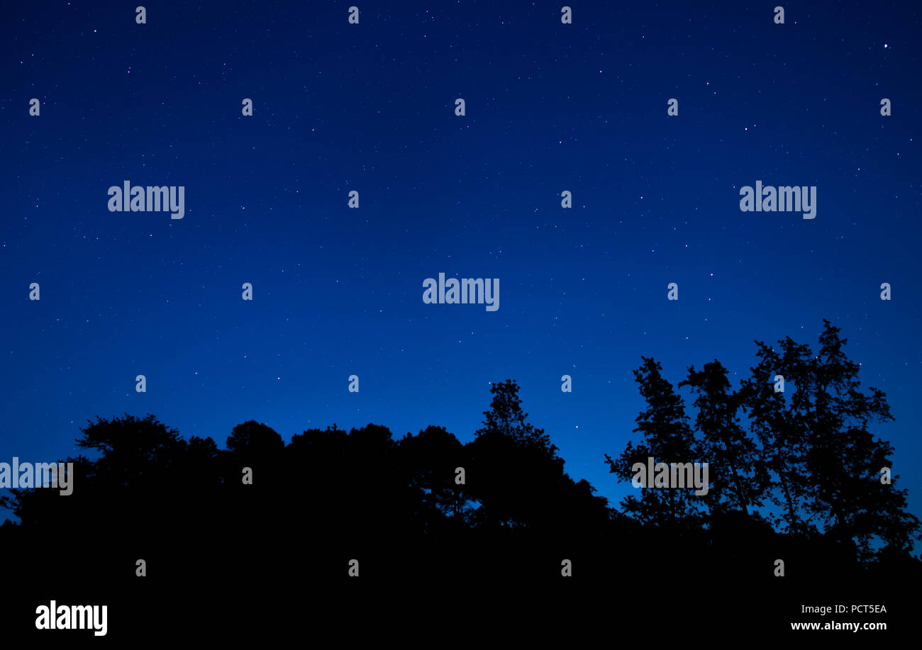 Treeline silhouetted by bright stars in a North Carolina night sky ...