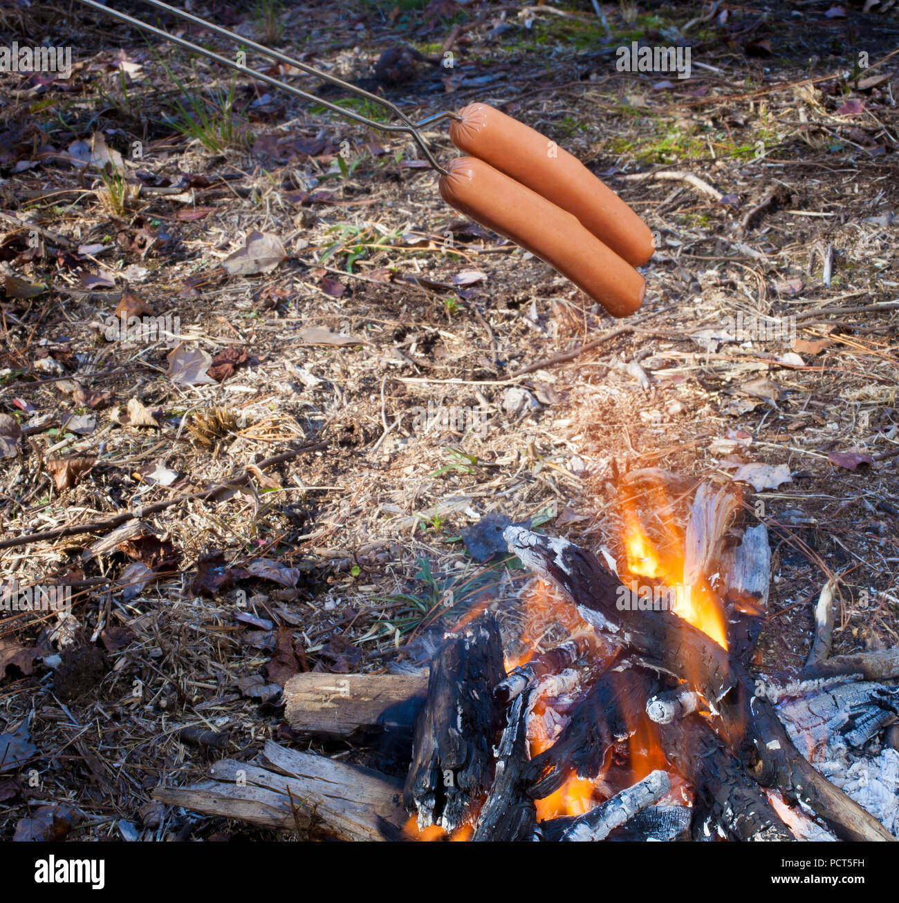 Cooking hot dogs over fire hi-res stock photography and images - Alamy