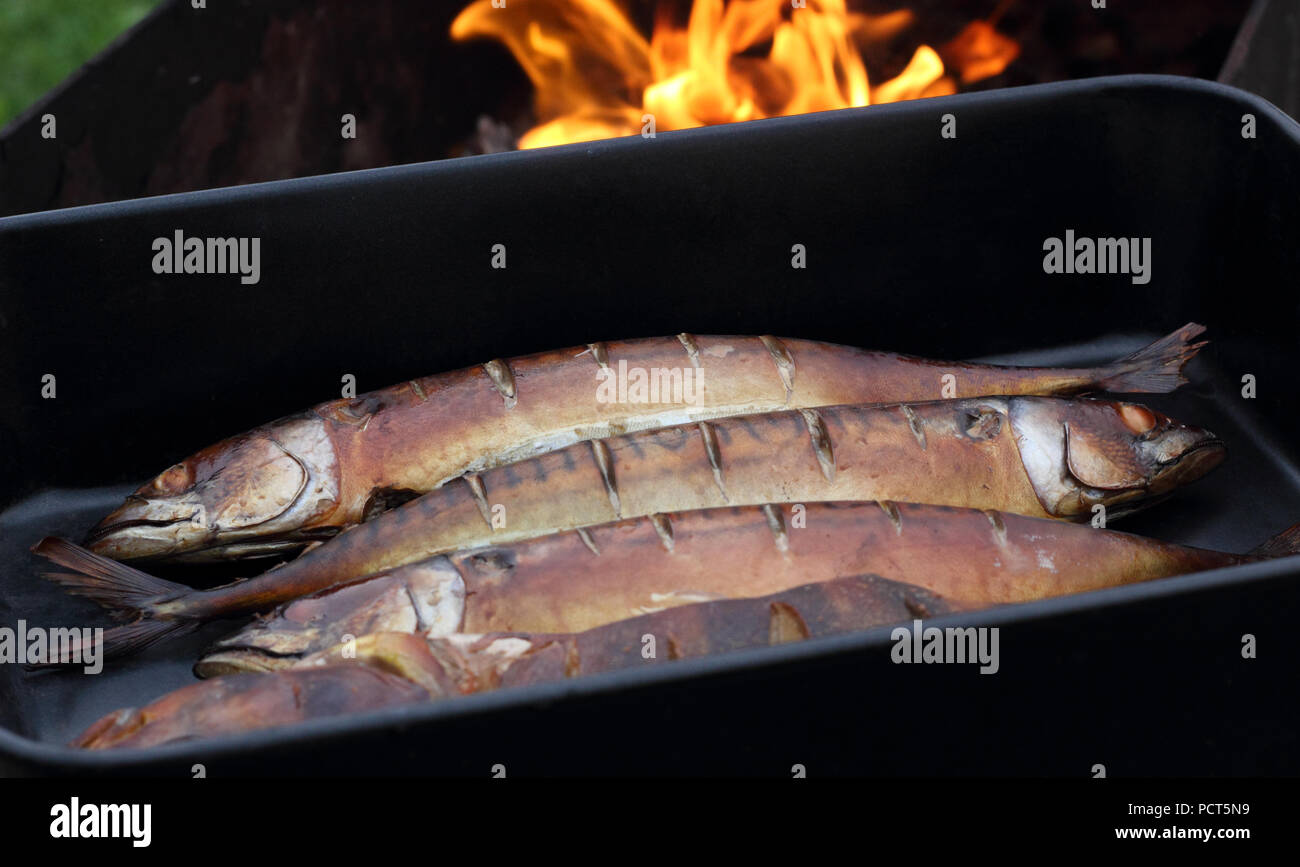 Smoked fishes in the pan with fire in the background photo Stock Photo ...