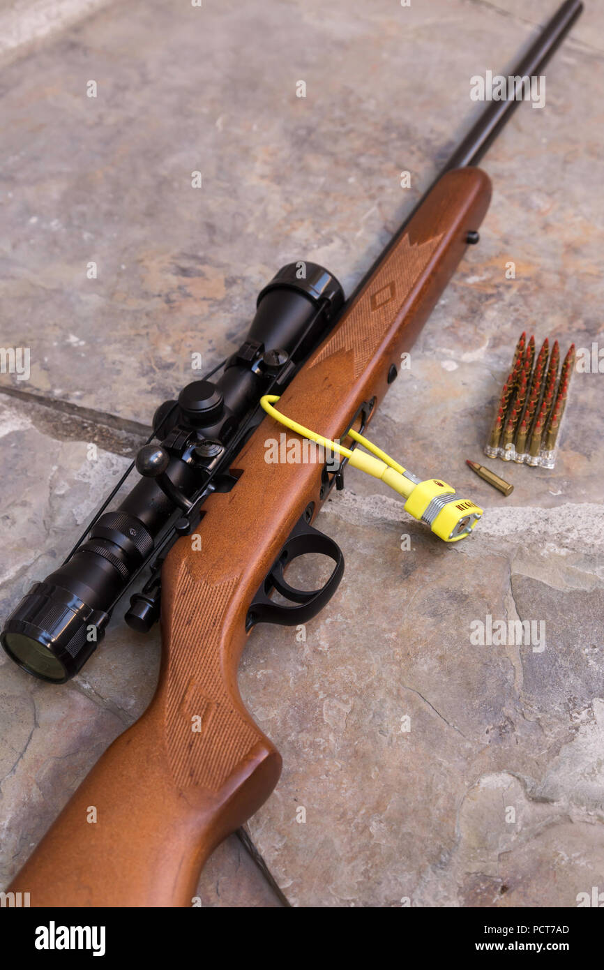 Hunting rifle has a child safety lock, USA Stock Photo - Alamy